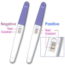 Urine Pregnancy Test - Mothers Haven